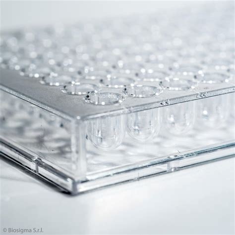 Well Microtiter Plates In Polystyrene Biosigma Biotechnology And Clinical