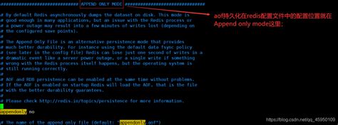 Redis持久化中的aofappend Only File持久化appendonly Csdn博客
