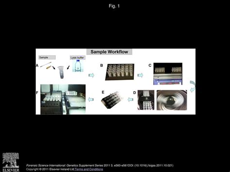 L Baron E Suzanne A Calletier C Pardo L Pène Ppt Download