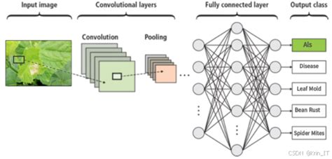 毕业设计 基于深度学习的高效农作物病虫害识别算法研究 Python 目标检测 机器学习复杂背景下农作物疾病检测算法研究 Csdn博客