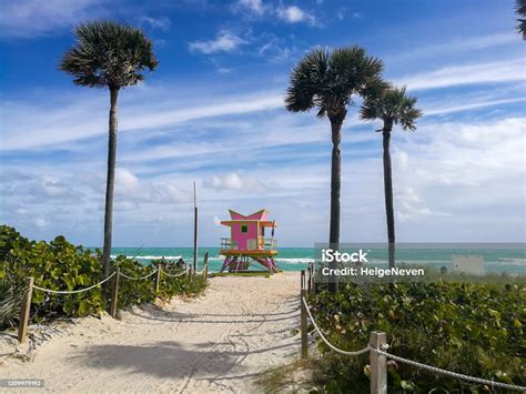 마이애미 비치의 노스 비치에 있는 인명 구조탑으로 이어지는 모래 길 마이애미에 대한 스톡 사진 및 기타 이미지 마이애미 아르데코 구조원 오두막집 Istock