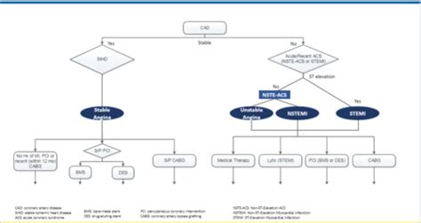 Primary And Secondary Prevention Of ASCVD Flashcards Quizlet