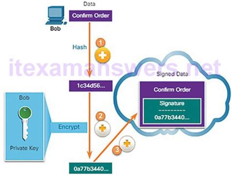 CCNA Cyber Ops Version Chapter Cryptography And The Public Key Infrastructure