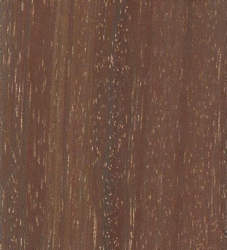 Fresh Ekki Incoming Civil Hardwoods