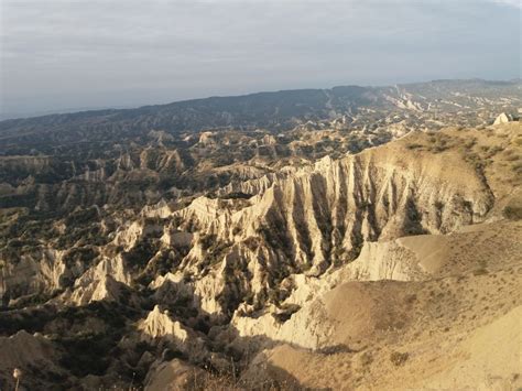 ორდღიანი ჯიპტური ვაშლოვანის ნაკრძალში დედოფლისწყარო 0 Gel ჯიპტური საქართველო