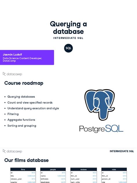 chapter 1 pdf sql databases