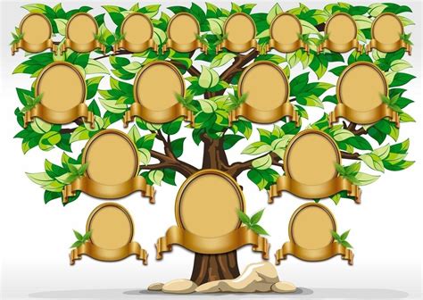 Древо семьи шаблон фото и картинки 67 штук