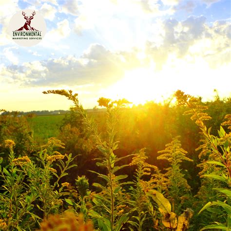 Lab Waste Disposal In Indiana Expert Services