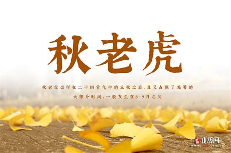 秋老虎从什么时候开始 日历网