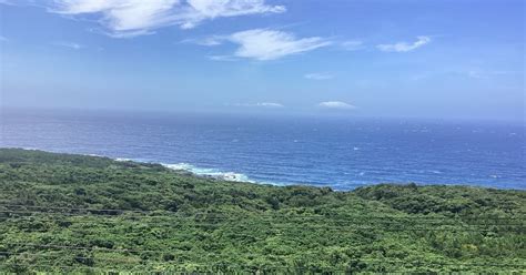 自己紹介という名目の自分語り【初めてのnote】｜海鮮丼