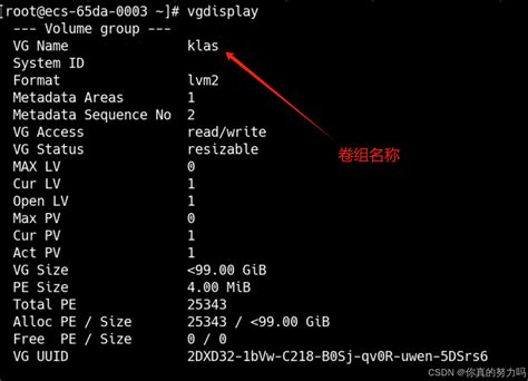 linux磁盘扩容（lvm扩容） linux扩容vg csdn博客