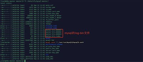 Kubernetes k s 上搭建一主两从的mysql 集群 阿里云开发者社区