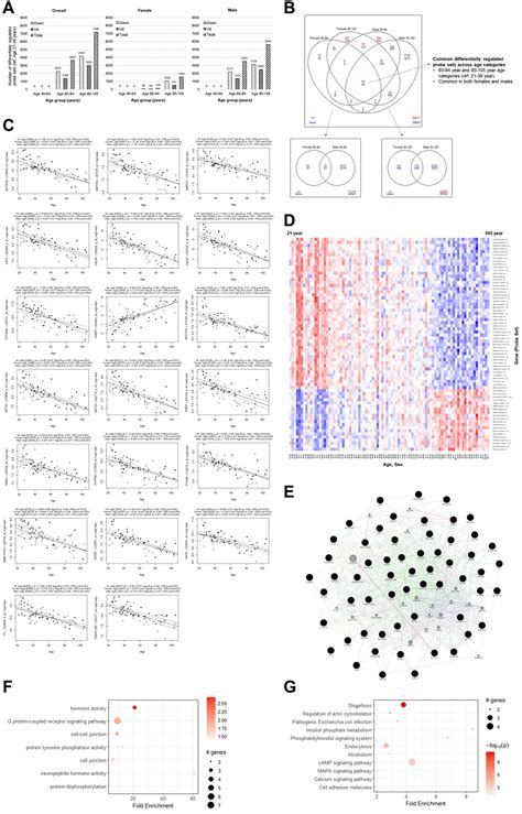 Genome Wide Transcriptome Profiling And Development Of Age Prediction Models In The Human Brain