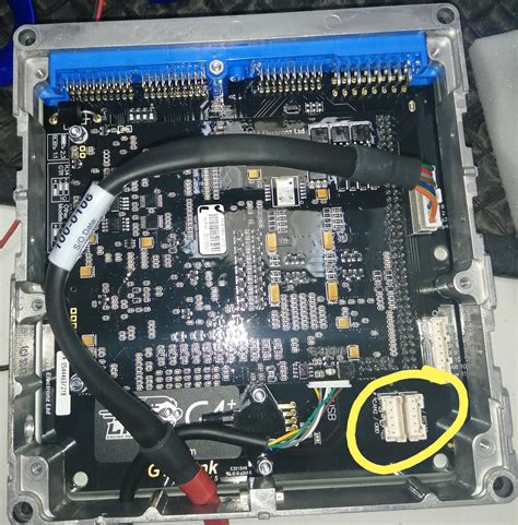 CAN LAMBDA WIRING G Forums Link Engine Management