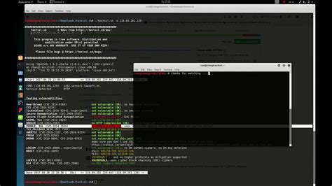TestSSL SSL TLS Penetration Testing YouTube