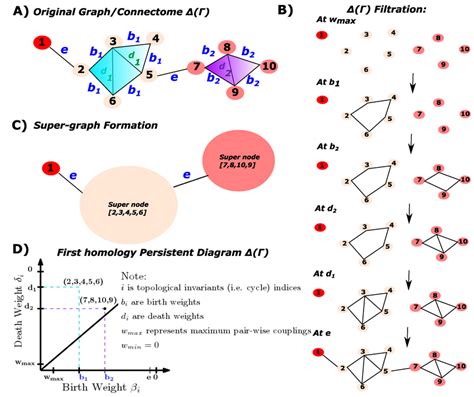 Topological Landscape Of Human Brain Functional Networks Panel A Is Download Scientific