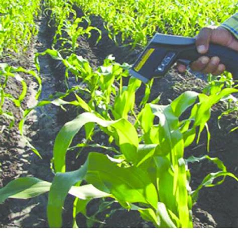 PDF A Review On Leaf Temperature Sensor Measurement Methods And Application