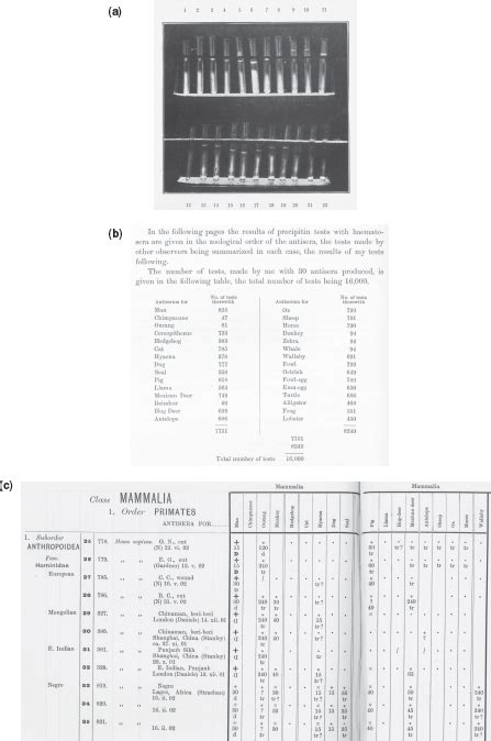 7 Molecular Phylogeny And Evolution Bioinformatics And Functional