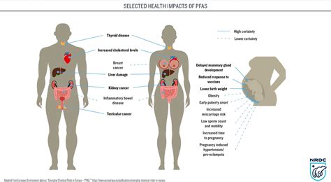 Coping With The Forever Expsoure To Pfas Forever Chemicals