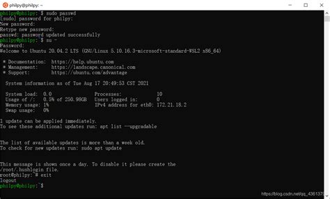 win10通过wsl2使用ubuntu以及gui的安装 wsl ubuntu gui csdn博客