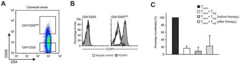 Functional Analysis Of Cd4 Cd25 High Foxp T Reg Cells A Cd4