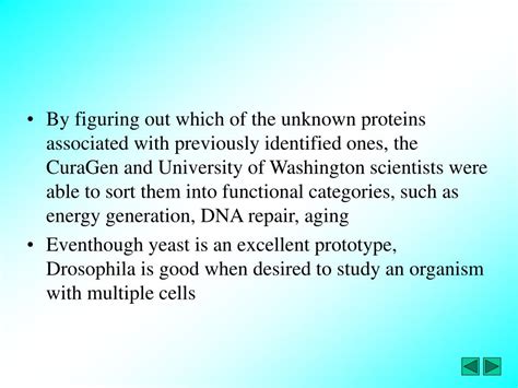 Ppt Structural Bioinformatics Powerpoint Presentation Free Download Id 5777411