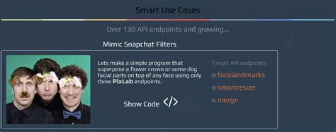 analyzing the api docs and dx patterns in the best media developer