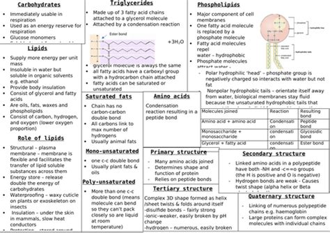 Biological Molecules Biology Aqa A Level Revision Posters Teaching Resources
