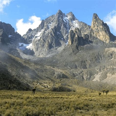 Mt Kenya National Park Exploring East Africas Majestic Gem Tour Kenya