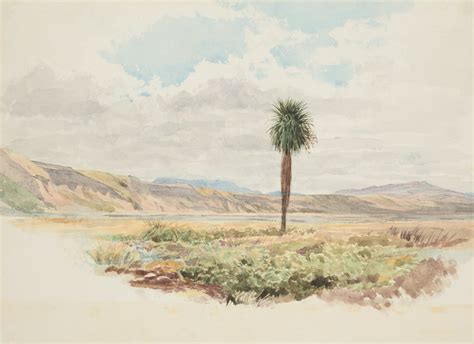 Amuri The Port Guide