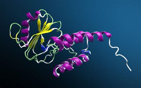 Alphafold2 Model By Deepmind Nvidia Nim