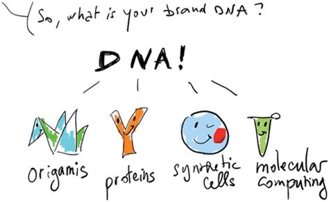 paul lourdu xavier posted on linkedin