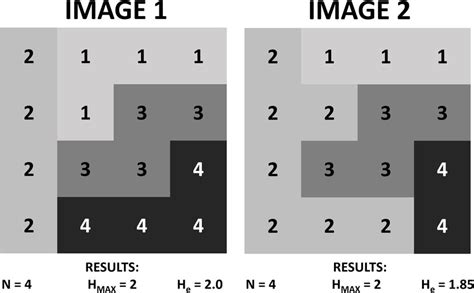 Maximum Entropy H Max And Entropy H E Results For Hypothetical Download Scientific
