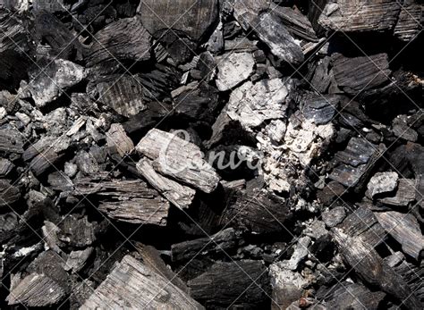 Tree Ashes Photos By Canva