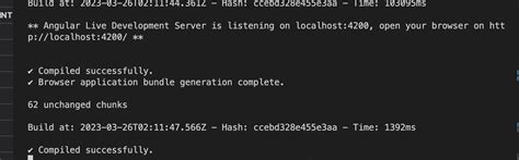 Angular My Application Ionic Dockerize Isnt Running In The Browser