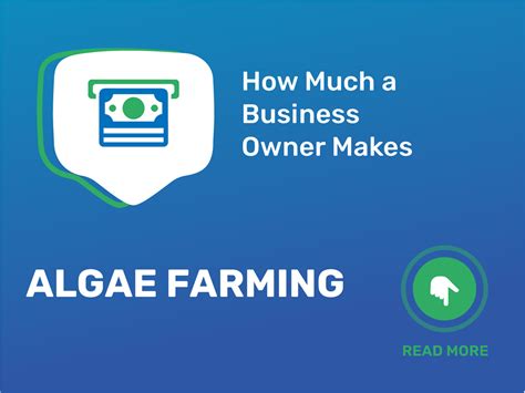 Income Potential Of Algae Farming Business Owners