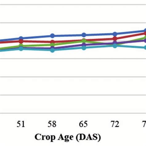 Effect Of Crop Age On Insect Vector Population In Different Dates Of Download Scientific