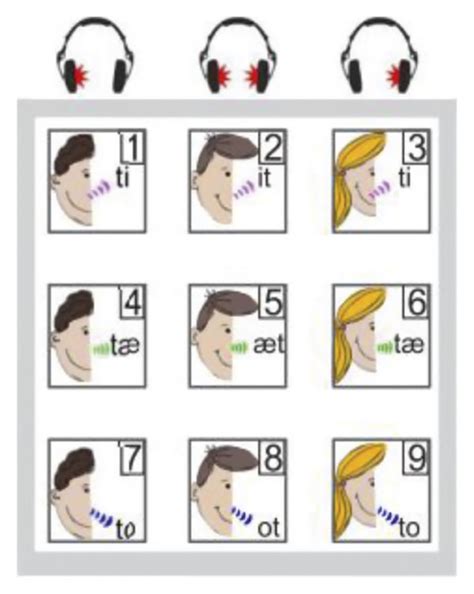 Graphical Representation Of The Auditory Stimuli Set Composed Of Spoken Download Scientific