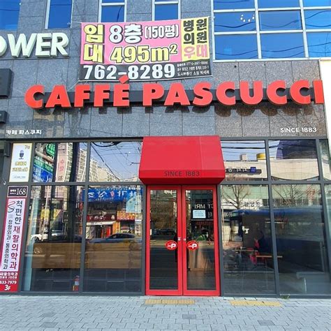 파스쿠찌 콜드브루 아메리카노 메뉴 메뉴 추천 봄 시즌 신메뉴 4종 할인 혜택 딸기 메뉴 소개 네이버 블로그