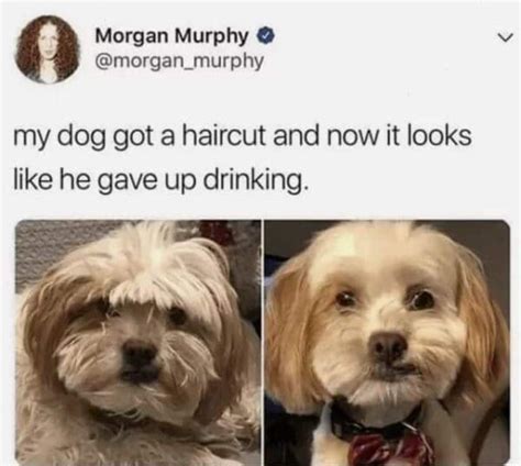 These 40 Good News Memes Are The Dose Of Positivity You Didnt Know You