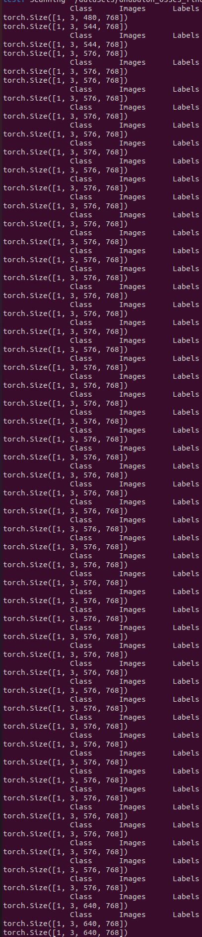 How Can I Check MAP With Other Formats Especially TensorRT Issue WongKinYiu Yolov