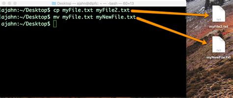 unix tutorial 2 copying and removing files — andy s brain book 1 0