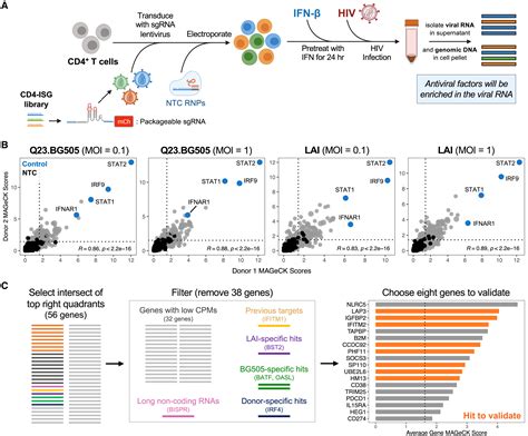 Several Cell Intrinsic Effectors Drive Type I Interferon Mediated
