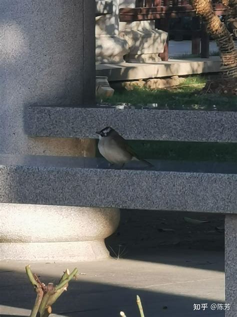 《为什么说现在的人都不愿意结婚了？》 知乎