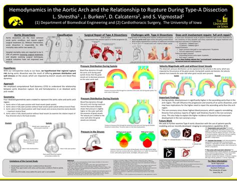 Pdf Hemodynamics In The Aortic Arch And Relation To Rupture In Acute