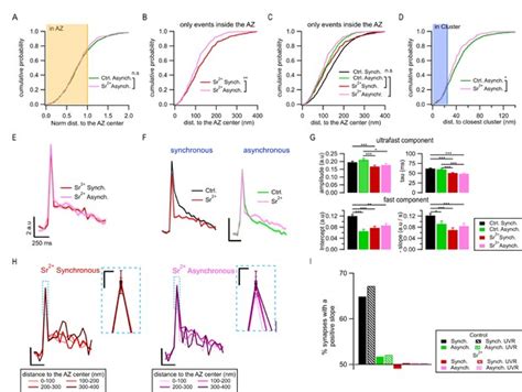 Two Forms Of Asynchronous Release With Distinctive Spatiotemporal Dynamics In Central Synapses
