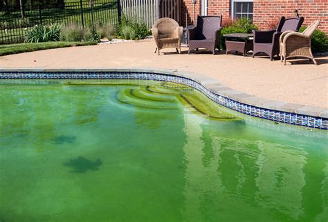 The Abcs Of Algae Pool Operation Management