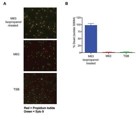 Identification Of Outer Membrane And Exoproteins Of Carbapenem Resistant Multilocus Sequence