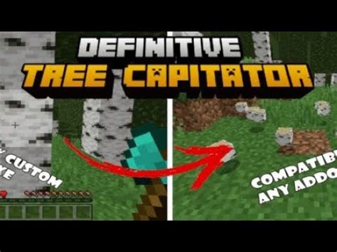 Definitive Tree Capitator Add On Minecraft Pocket Bedrock Edition 1 18 1 19 YouTube
