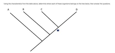 Solved Constructing A Phylogenetic Tree Now You Are Going Chegg